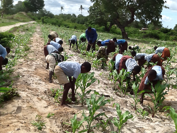 Meet the Children | Magarini Children Centre and Organic Farming ...